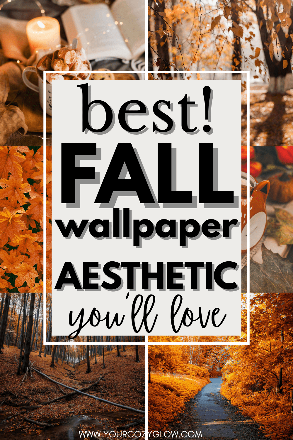 37+ Cozy Free Fall Wallpapers to Warm Your Heart This Season