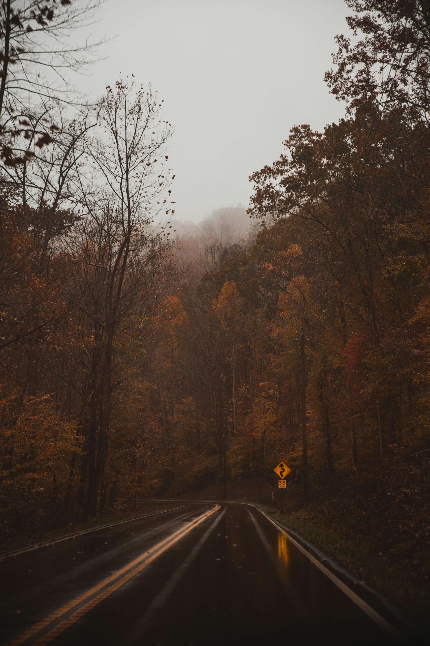 37+ Cozy Free Fall Wallpapers to Warm Your Heart This Season