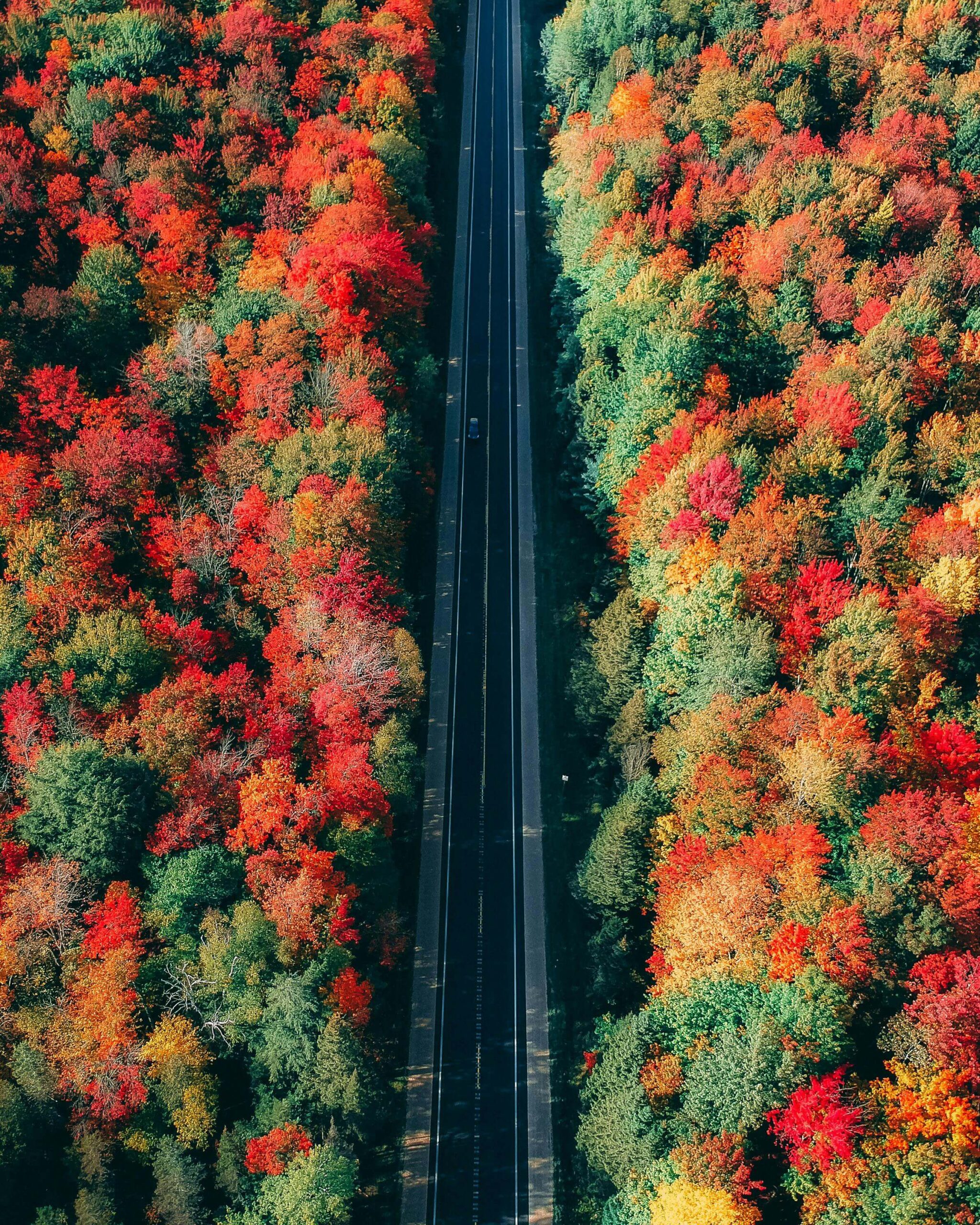 37+ Cozy Free Fall Wallpapers to Warm Your Heart This Season