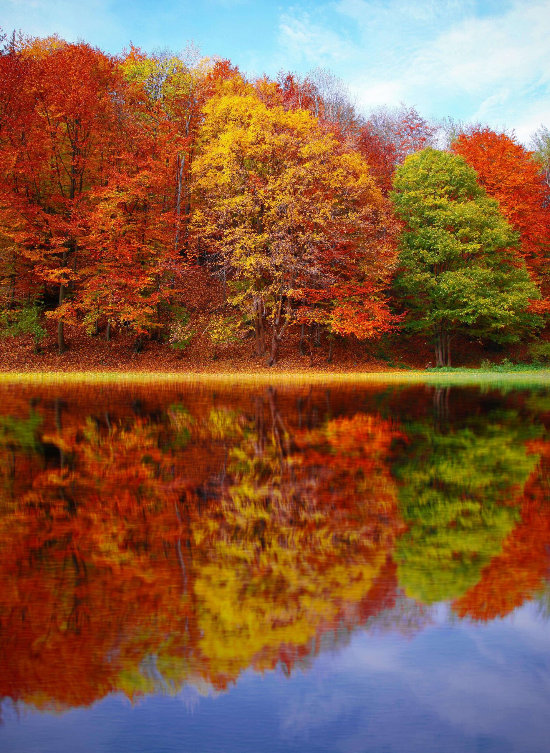 37+ Cozy Free Fall Wallpapers to Warm Your Heart This Season